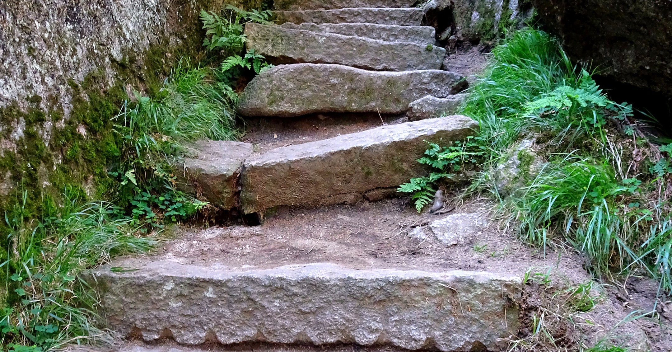 «Schritt für Schritt»