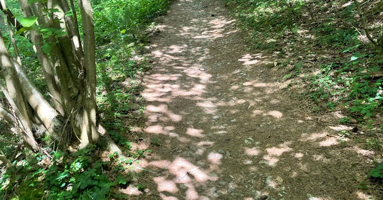 Männerwallfahrt 2026 - Rund um das Kloster Steinfeld